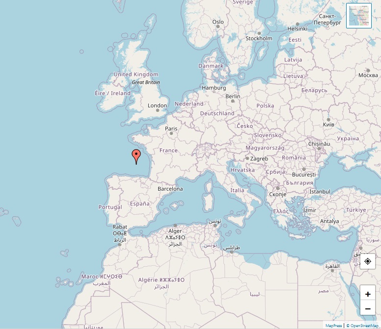 Bay Of Biscay World Map World Map Cork Push Pin Wall Art Map, Oak Wood